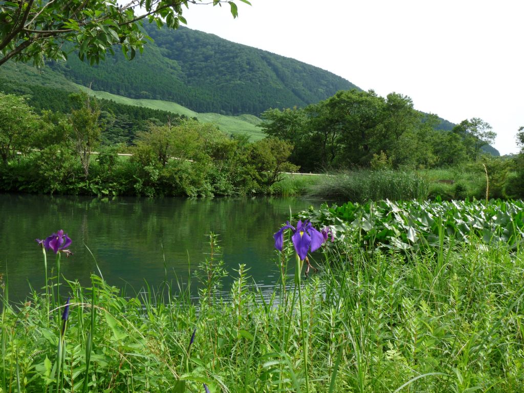 X_shissei_01 | HAKONE JAPAN | Visit to Experience the Beauty of Japan
